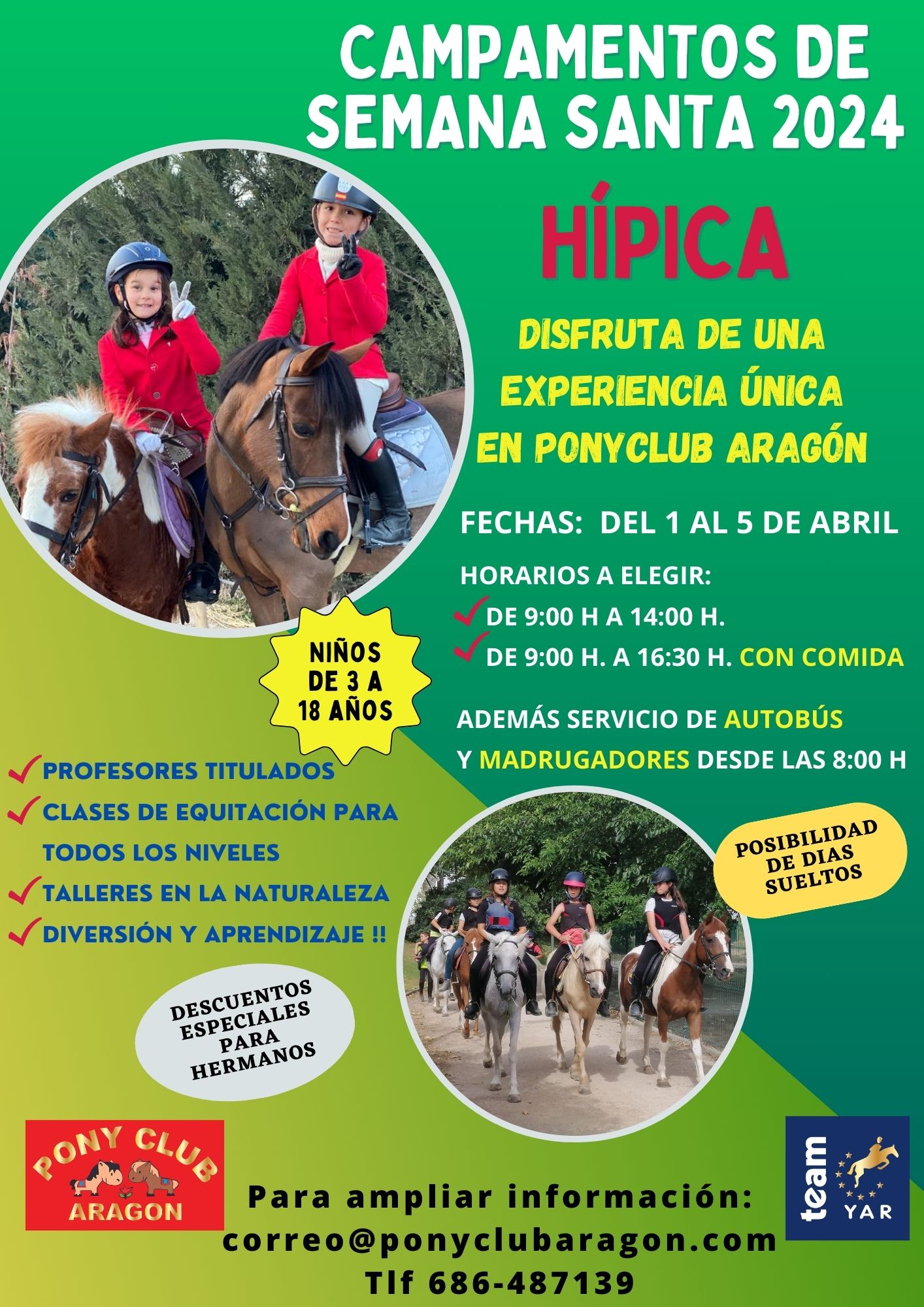 Flyer CAMPAMENTOS SS 2024 - Hípica - Pony Club Aragón
